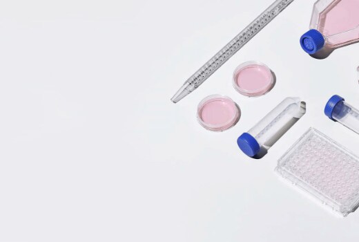 Gibco | Fisher Scientific