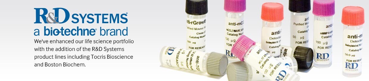 R&D Systems Antibodies and Reagents | Fisher Scientific