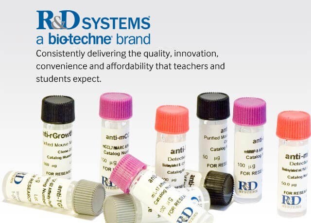 R&D Systems Antibodies and Reagents | Fisher Scientific