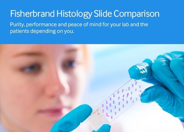 Histology Slide Guide