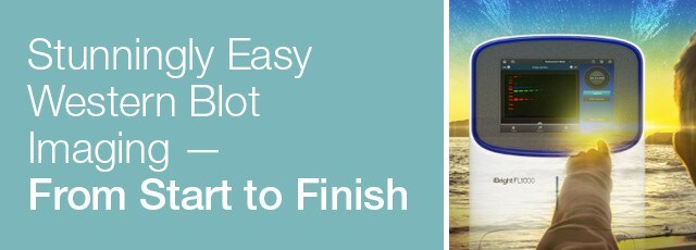 Introducing the Powerful iBright Imaging Systems