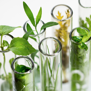 My Green Lab & Thermo Fisher Scientific | Fisher Scientific